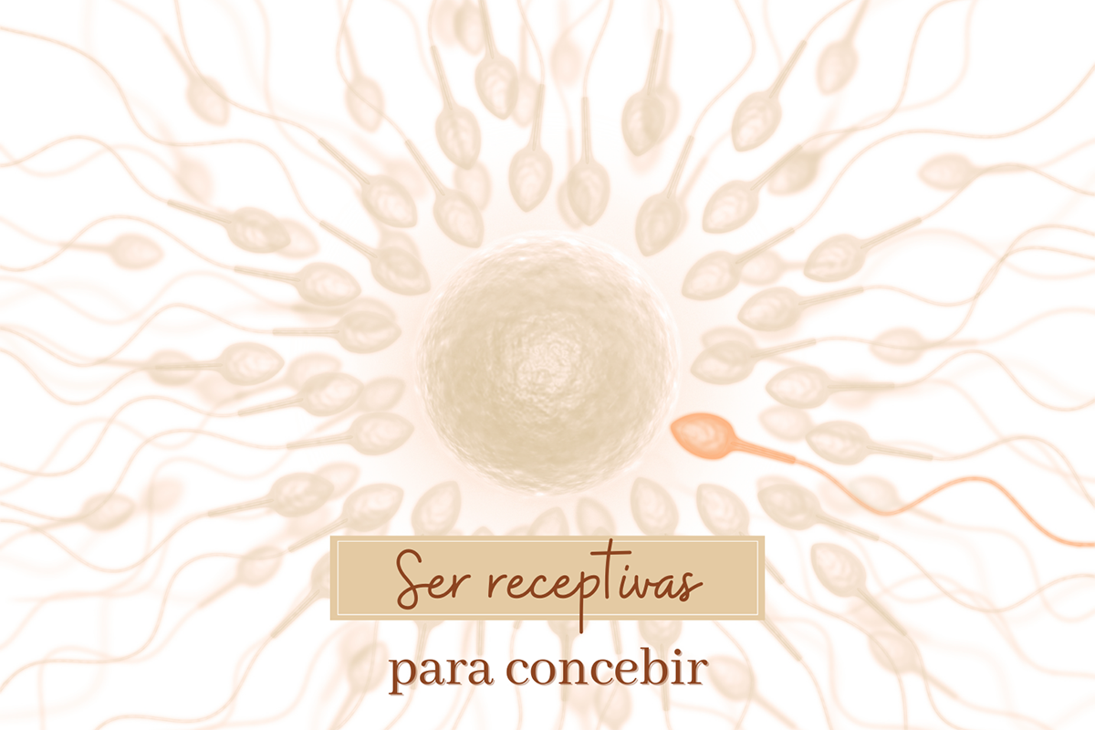 Mi Fórmula De 3 Pasos Para Estimular Tus Ovarios Nidra Mater